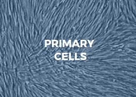 Cell Systems⎢Primary Cells