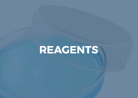 Cell Culture Reagents – Cell Systems