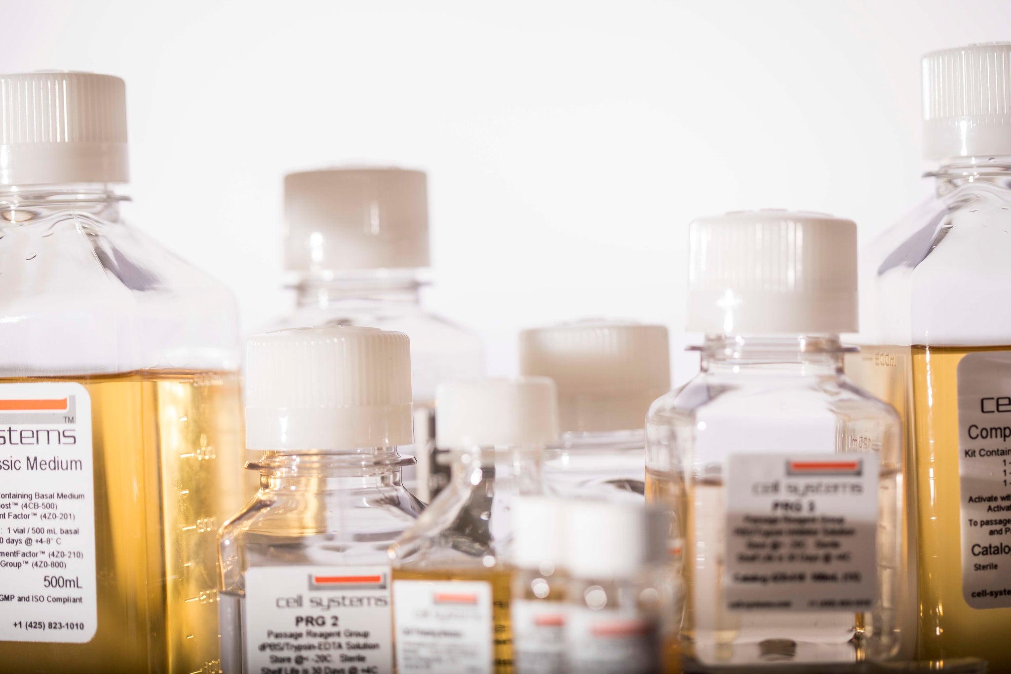 Cell Systems⎢All-In-One Cell Culture Media Kits